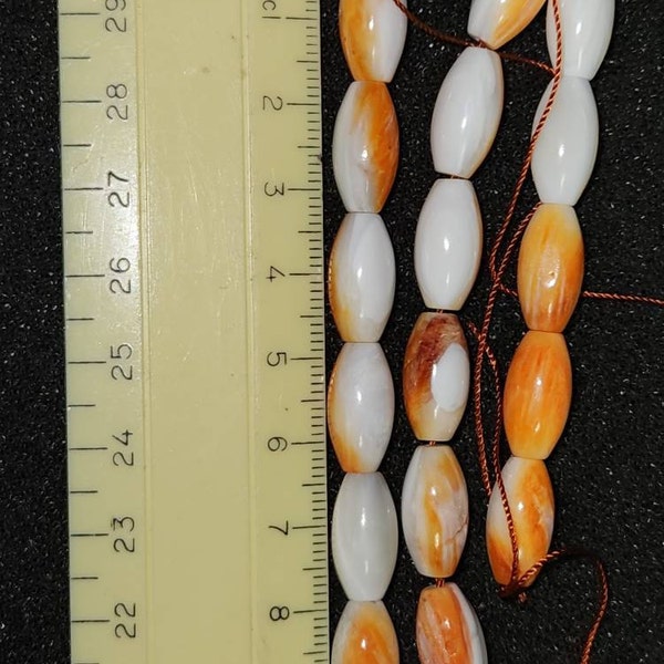 AAA Queen Conch, Natural Pink Queen Conch Shell Smooth Round Ball ...