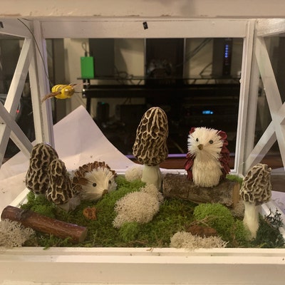 Handmade Morel Mushrooms for Landscape & Garden. Real Looking Morels ...