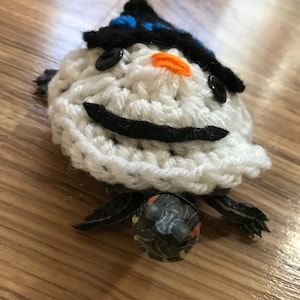 Cat/Kitten Costume for Turtles/ Tortoises Please Provide | Etsy