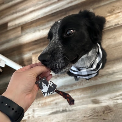 Gestroi Isopod Roly Poly Insect Bug Keychain Cartoon Chibi - Etsy