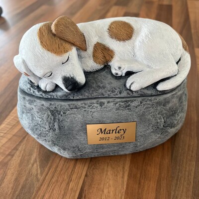 Ceramic Engraved Painted Cat Cremation Urn With Plastic Name - Etsy Canada