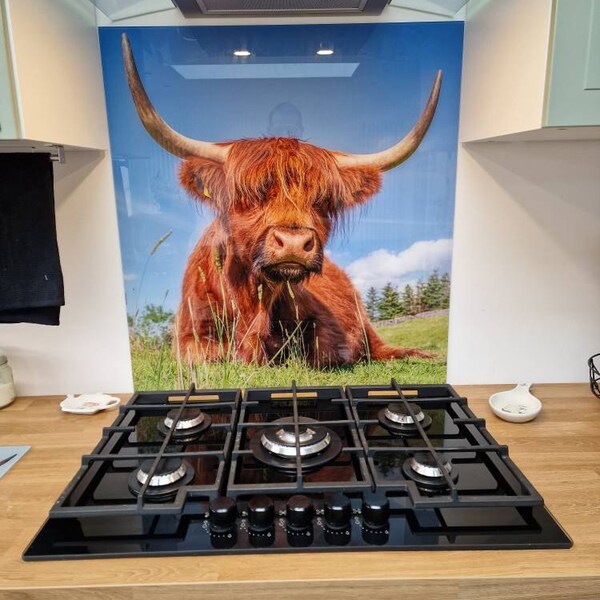 Kitchen Glass Splashback Toughened Tile Cooker Panel Any Size Highland ...