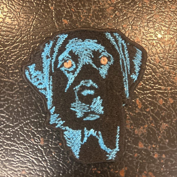 X-ray Anatomical Red Human Heart Iron on Patch Embroidered Sew on ...