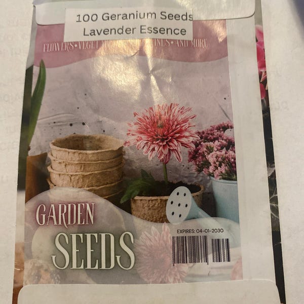 65 Columbine Seeds Blush Rose Flower Seeds, Heirloom Seeds, Non Gmo ...