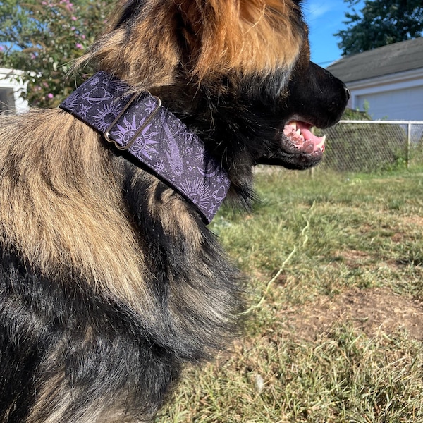 CUSTOM Hidden Prong Training Dog Collar - Real Leather - 2 Inch Wide ...