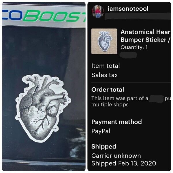 Anatomical Heart Sticker / Bumper Sticker / Vinyl Sticker / Vintage ...