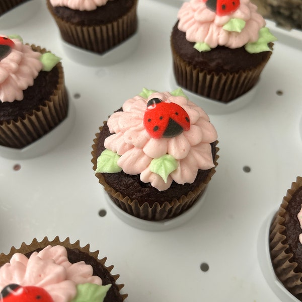 LADYBUGS Edible Sugar Decorations - 24 Pieces Cupcake or Cake Toppers ...