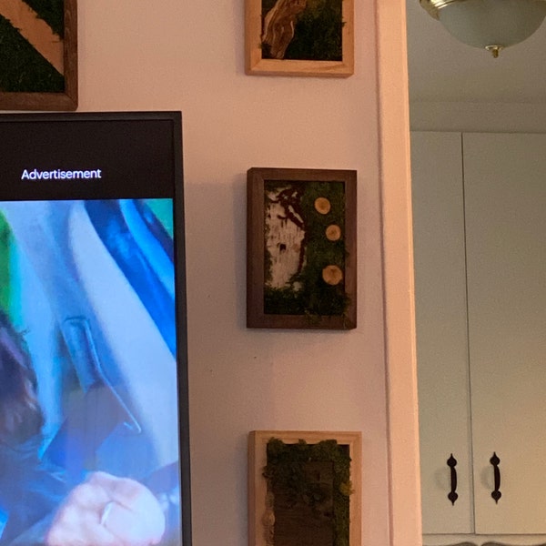 Mini Moss Art Shadow Box - Etsy