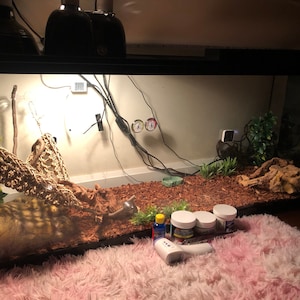 Plastic Moss Pads: Artificial Aquarium Plants Reptile | Etsy