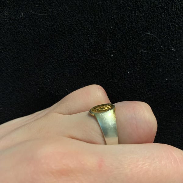 The Timeless Charm of the Apollo Signet Silver Ring: A Handmade, Unisex ...