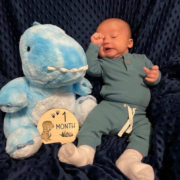 Dinosaur Milestone Cards, Baby Milestone Dinosaur Discs Marker, Wood ...