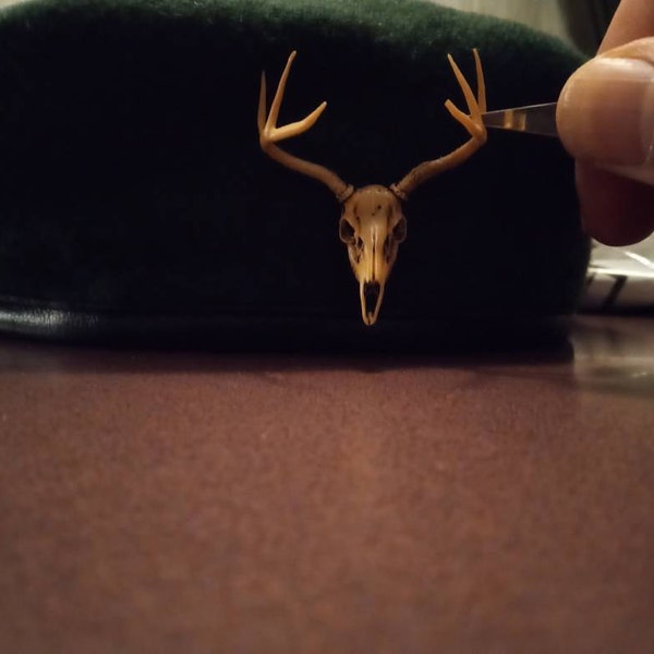 Weißwedelhirsch Schädel mit Geweih - 1:12 realistische Miniatur ...