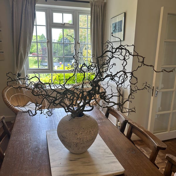 Real Decorative Dried Corylus Branches Wabi Sabi Twigs for Vase ...