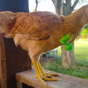 3D Printed Chicken Arms Incredible Hulk Muscled Arms Various | Etsy