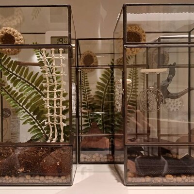 NCYP Handmade Rustic Natural Sanderwood Rope Driftwood Celing - Etsy