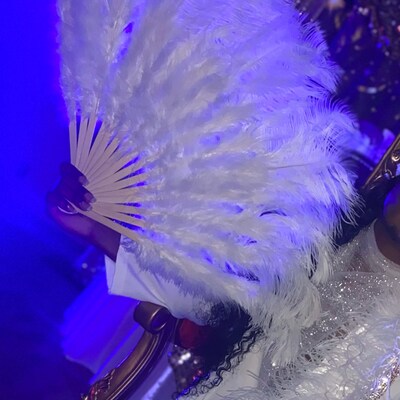 Burlesque Fans,dance Feather Fans,,ostrich Feather Fans,size ...