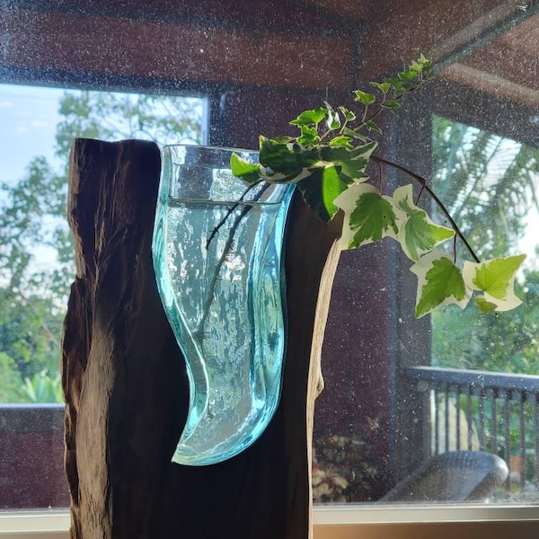 Molten Glasses Flower Vases 11 Inch on Wood / Pots / Aquascape / Roots ...