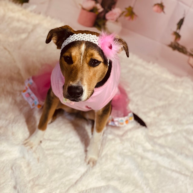 Handmade dog clothes fun to fancy pet attire by MakeTailsWag