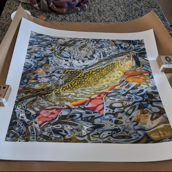 Glimmering Brookie 21.5 X 20.5-best Seller! Limited Edition Fine Art ...