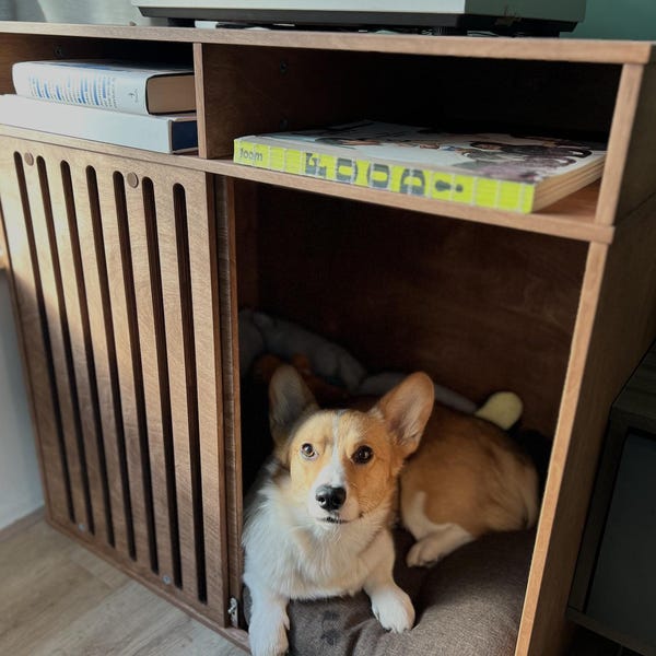 Bungalo With Shelves Pet House, Modern Dog House, Dog Bed, Wooden Pet ...