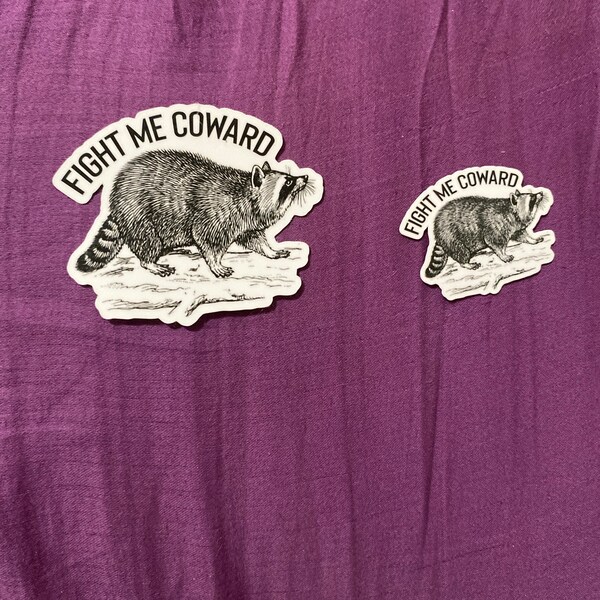 Fight Me Coward Raccoon Sticker, Raccoon Sticker Decal - Etsy