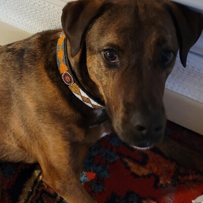 Custom Leather Camera Strapbeaded Camera Strapdslr Strap - Etsy