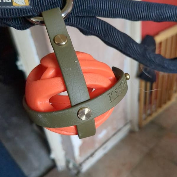 Khaki Waterproof Dog Collar | Personalised Biothane | Custom Print ...