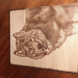 Mexican Grey Wolf Pyrography Pattern: Tutorial Available - Wood Burning ...