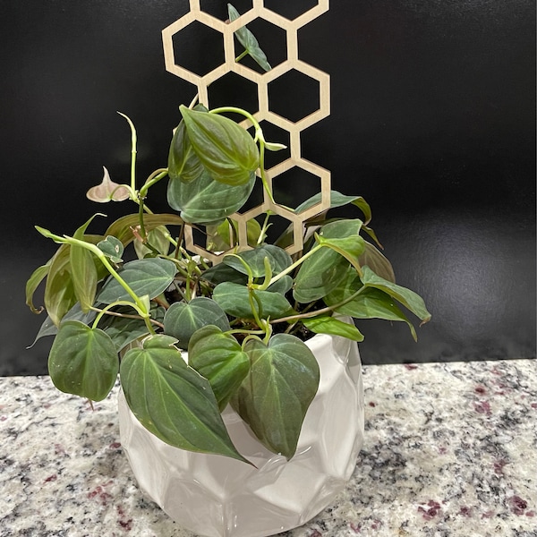 Boho Plant Trellis Houseplant Stakes SVG File Bundle for Glowforge ...