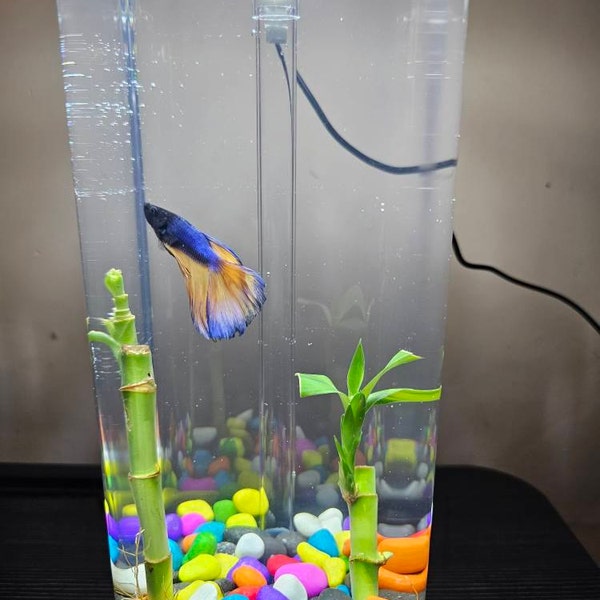 Self-cleaning Betta Fish Aquariums With LED + River Stones + Food - Etsy