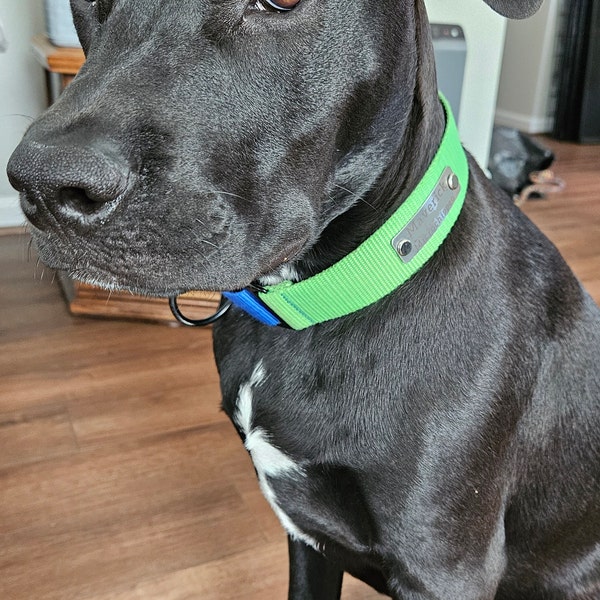 Martingale Chain, Stainless Half Check Chain, Martingale Hardware ...