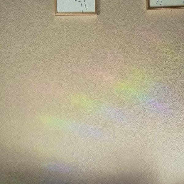 Rainbow Suncatcher Sticker: Confetti Prisms Film, Bird Deterrent - Etsy