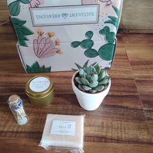 Final Exams Gift Box Exam Care Package Gift for Student | Etsy