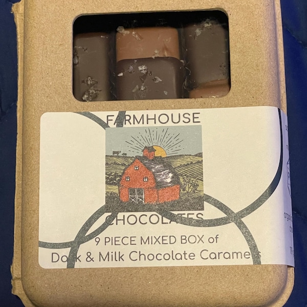 4 Piece Box Chocolate Covered Salted Caramels (dark Chocolate, Organic ...