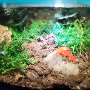 MINIATURE Arapaima Freshwater Fish Animals Figures Figurine Dollhouse ...