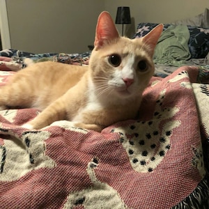 Pink Cat Blanket: Woven Cotton Throw, Cute Kawaii Gift for Animal or ...