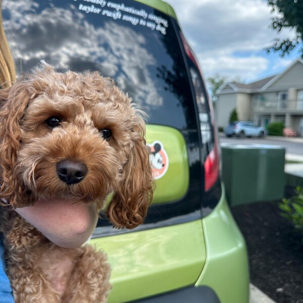 NEDA Symbol Butterfly Vinyl Decal Sticker // Car Decal, Laptop Sticker ...