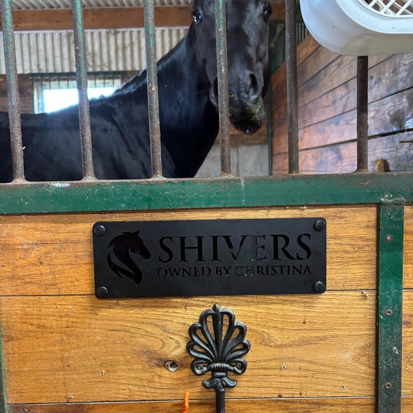 Horse Stable Name Sign, Classy New Laser Cut Design Matt Black With ...