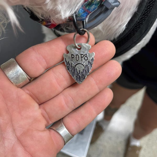 Mini Dog Tag for Dogs, the Bean, Dog Tag, Kidney Bean, Personalized ...