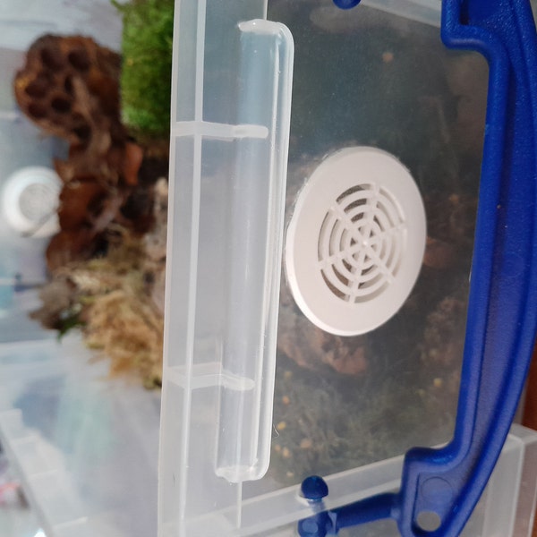 Land Snail Kit, Ideal for Garden Snails - Etsy