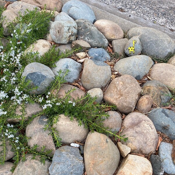 Diwali Scavenger Hunt for Kids, Deepavali Treasure Hunt, Party Activity ...