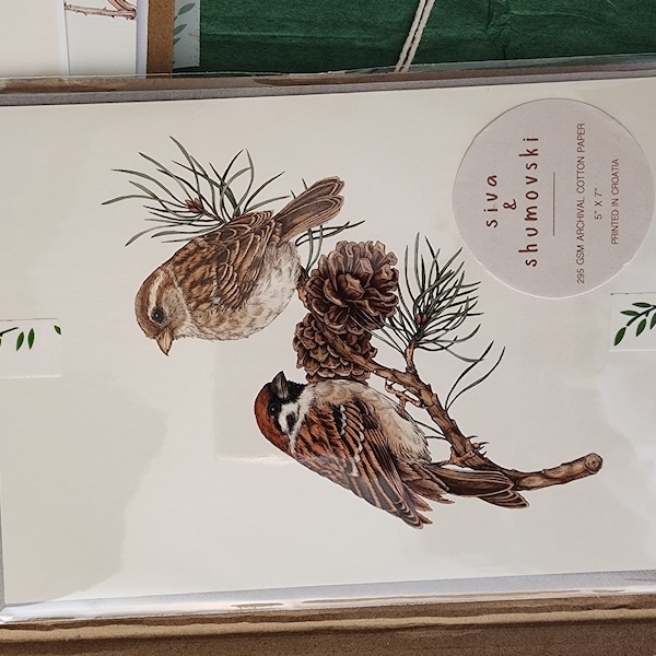 Bird Print Set of 4,garden Bird Print Set,mini Bird Art Print,5x7 Print ...