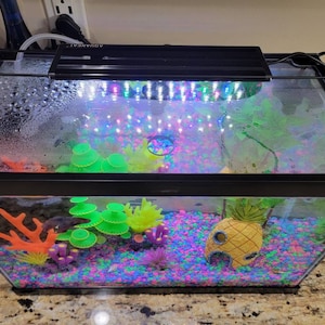 10 Gallon Aquarium Lid Reversible for Hang on Back Filters Clear ...