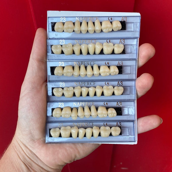 3 Set of Posterior (molars) Acrylic/resin Teeth, Shade A3, Size 22 - Etsy