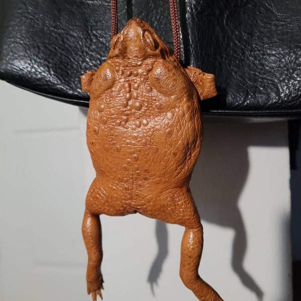 Real Cane Toad Purse Full Body Regular Size Leather Frog Bag: Fits ...