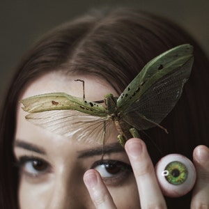 Complete Round Realistic Human Eyeball Available in 6 - Etsy