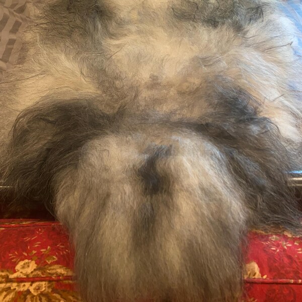 Genuine Icelandic GOLD Sheepskin Rug, Pelt, Carpet, Giant Sheepskin Rug ...