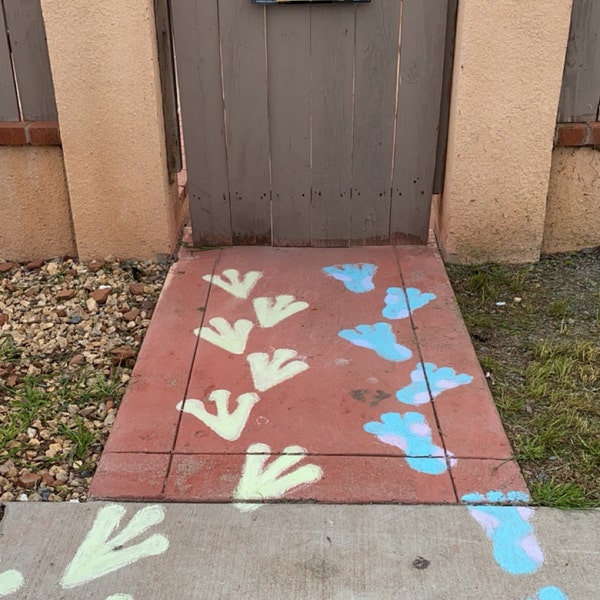 Skunk Warning Sign, Striped Kitties, Skunks - Etsy