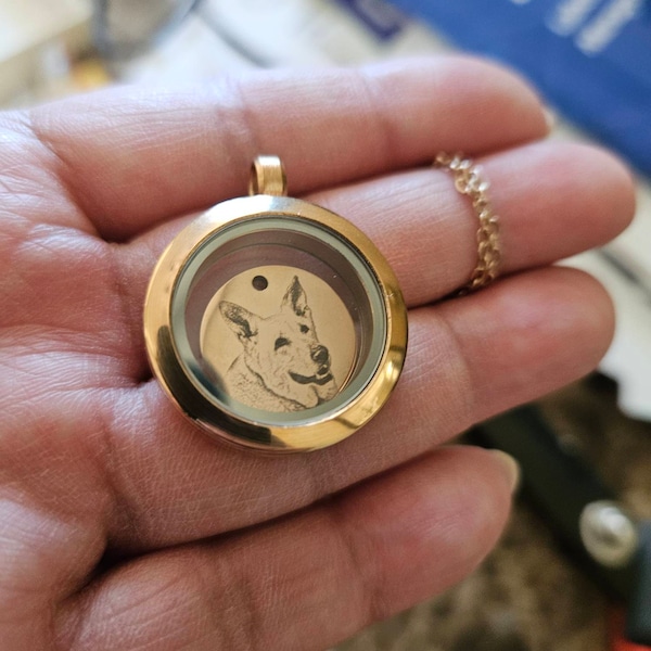 Custom Pet Fur Necklace • Pet Fur Locket Necklace • Dog Hair Memorial ...