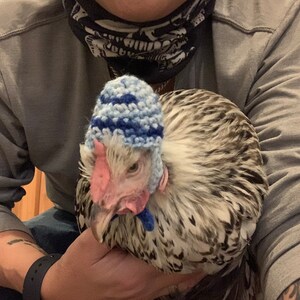 Crochet Pattern Bonnet for Chickens Sunday Bonnet Little - Etsy